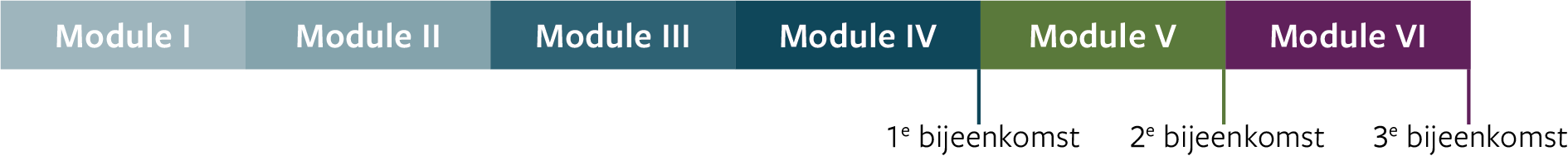 STATIC-STABLE-ACUTE (€675,-) - Platform Forensische Seksuologie